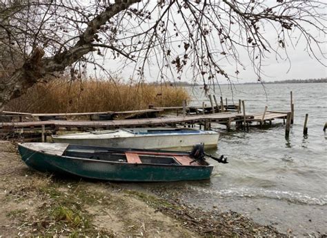 Російські військові у грудні 2022 року розстріляли цивільних на