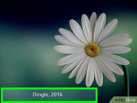 3 Ways To Cite Google Images WikiHow Tech