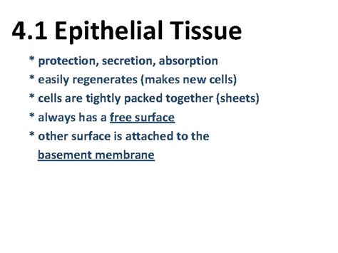 Chapter 4 Body Tissues And Membranes Tissue Specialized