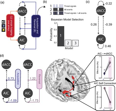 Neural Dynamics Supporting Threat Learning And Updating A