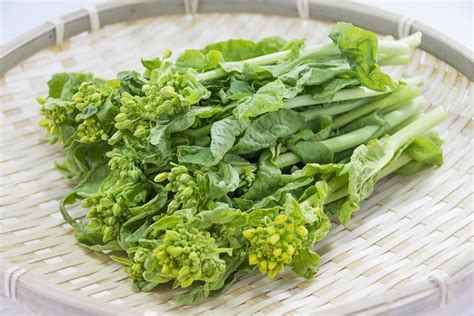 【養生】旬の食材を食べよう～季節ごとの選び方～ 漢方薬局rin