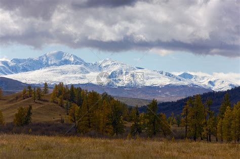 俄罗斯阿尔泰的高清图片下载 正版图片503346242 摄图网