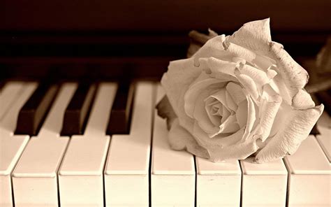 Cool Piano Wallpapers Top Free Cool Piano Backgrounds Wallpaperaccess