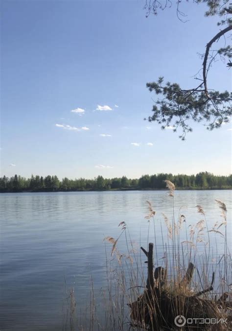 Отзыв о Голубые озера в Луховицах Россия Московская область Входит в топ пляжей Подмосковья