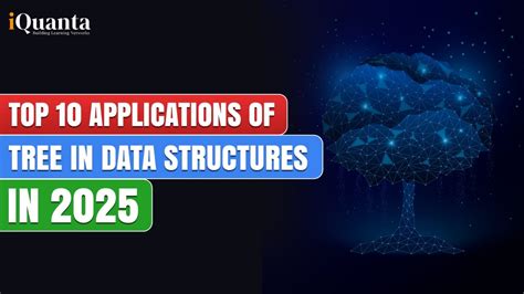 Top 10 Applications Of Tree In Data Structures In 2025 Iquanta