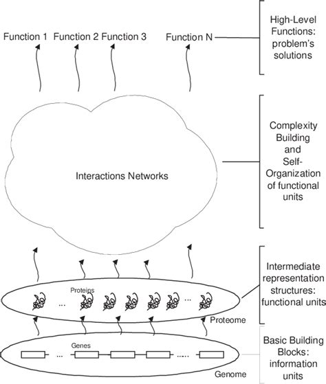 Figure 1 From Cross Fertilization Between Proteomics And Computational Synthesis Semantic Scholar