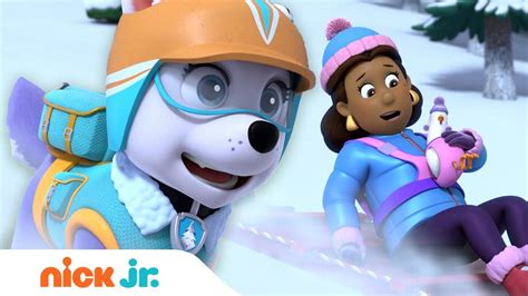 Paw Patrol Rescues Mayor Goodway From A Snowy Mountain W Everest