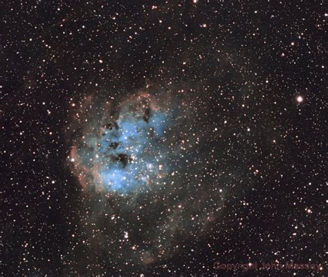 Ic410 Sho Pallete And Cropped Astrobin