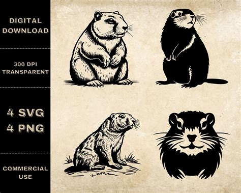 Gopher Svg Bundle Png Gopher Clipart Hand Drawn Gopher Etsy