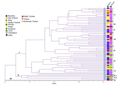 Dendrogram Derived From The Morphological Characters Of 65 Different