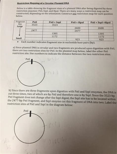 Solved Restriction Mapping Ola Circular Plasmid Dna Below Is