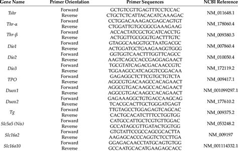 Primers Used For Quantitative Real Time Pcr Download Scientific Diagram