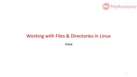 Working With Files Directories In Linux21 25pptx