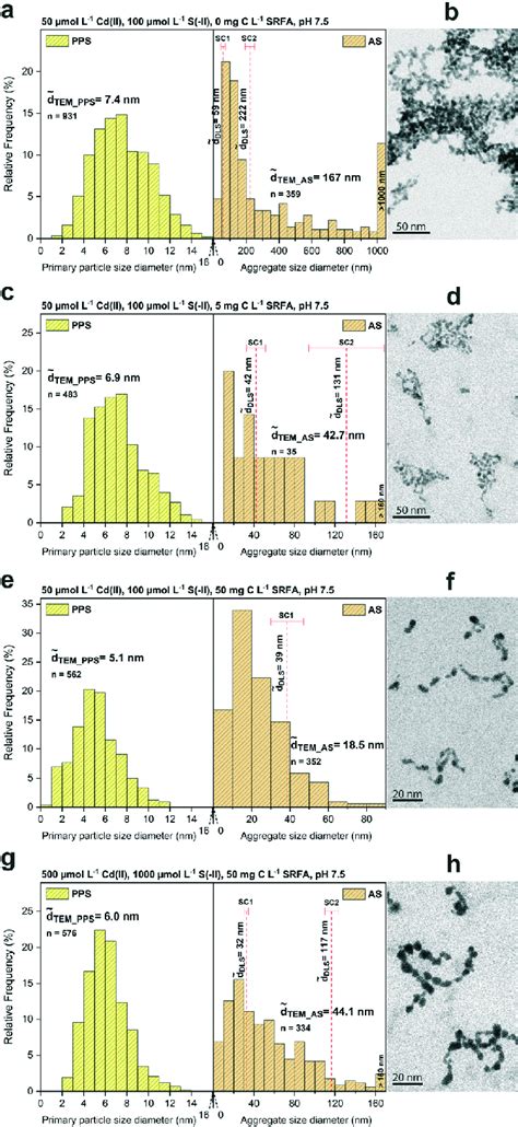 STEM Primary Particle Size PPS And Aggregate Size AS Distributions Download Scientific