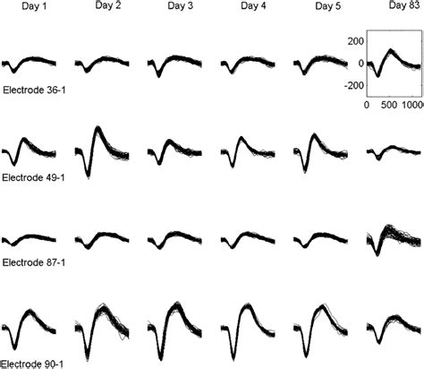 Representative Example Of Waveform Shapes Eighteen Waveform Shapes