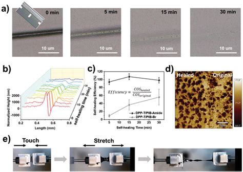 Self‐healing Ability Of 20 Dpp‐t Pib‐amide Composite Films A Optical