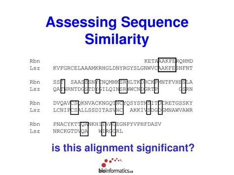 Ppt Sequencing Sequence Alignment And Software Powerpoint Presentation Id3412316