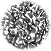 Perlin Noise Generator Designcoding