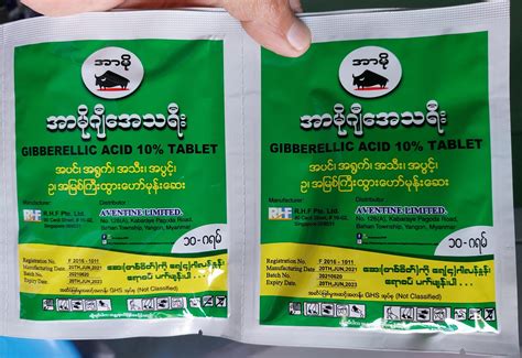 တိုင်းလုံးကျော် စိုက်ပျိုးရေး ဆေးဆိုင် Home