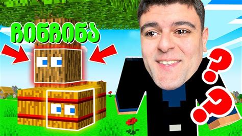 დამალე ბლოკები ჩინჩინასთან ერთად Minecraft Youtube