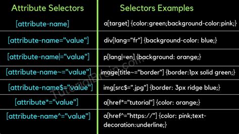 Css Attribute Selector — Tutorialbrain