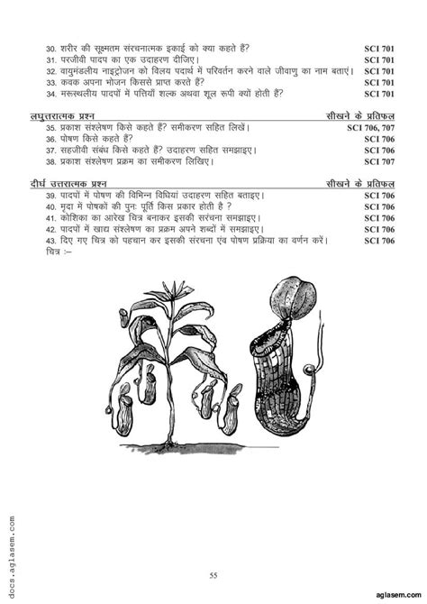 Class 7 Science Question Bank Pdf Important Questions For Class 7 Science Aglasem