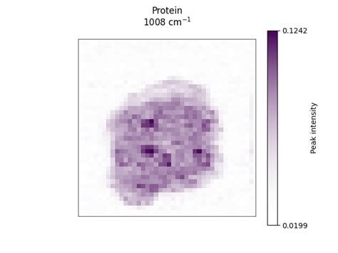 Cell Phenotyping RamanSPy