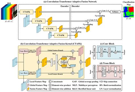 Convolution Transformer Adaptive Fusion Network For Hyperspectral Image