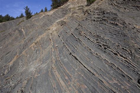 Turbidite Deposits On Oregon Coast Geology Pics