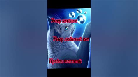 Коты воители Эдит Кленовница Темнохвост Бич и Синия звезда Youtube