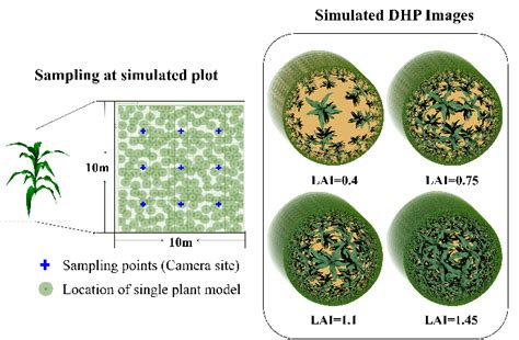 Scheme 1 Left Sampling Strategy For The Simulated Plot Right