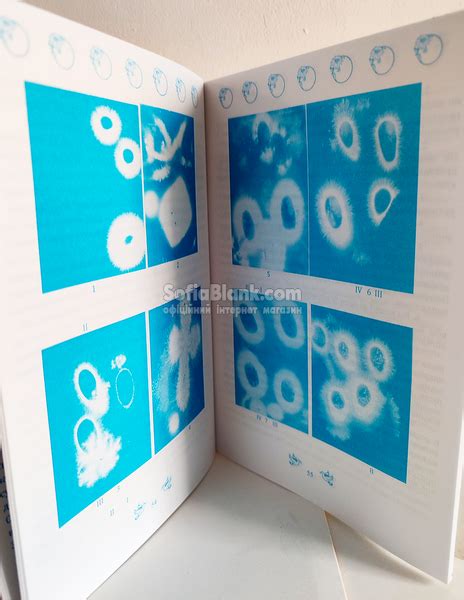 Купити Заклик до небайдужих C Бланк 23 в інтернет магазині Sofia Blank одяг та предмети