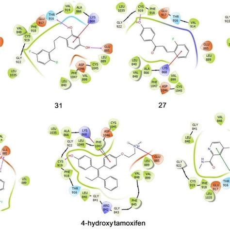 2d Interaction Compounds 29 31 27 16 K11 4 Hydroxytamoxifen And Download Scientific