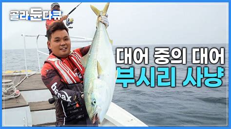 낚싯대가 부러질 정도•• 다른 어종에서는 못 느끼는 역대급 손맛 ‘부시리‘ │손맛 못 잊어 진도로 귀향한 사나이 삼인방│낚시 명당 ‘복사초│한국기행│골라듄다큐 Youtube