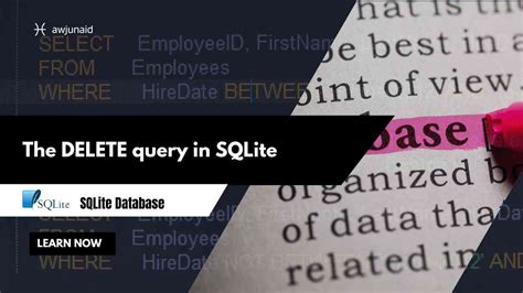 The DELETE Query In SQLite Abdul Wahab Junaid
