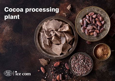 Cocoa Processing Chocolate Cocoa Processing Icecom