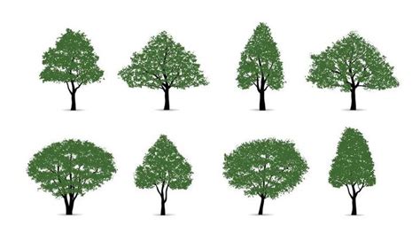 Tree Architecture Vector Art Icons And Graphics For Free Download