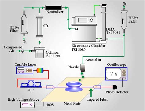 Fig S1 Schematic Of The Experimental Set Up For Particle Detection Download Scientific