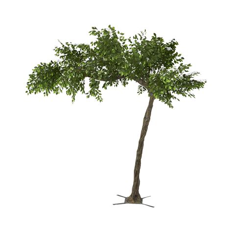 Canopy Tree Themed Props Décor And Props Pacific Event Productions