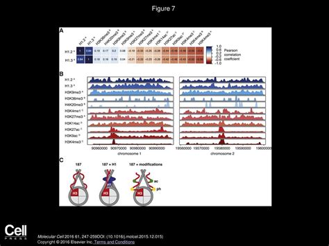 Volume Issue Pages January Ppt Download