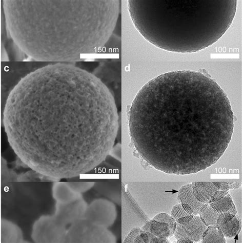 Microscopy Of Oct Msns And Control Particles Contrast The Results Of Download Scientific