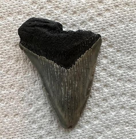 Kristina Sitdikov On Linkedin Kristina Sitdikov On Instagram During Our Visit To Folly Beach