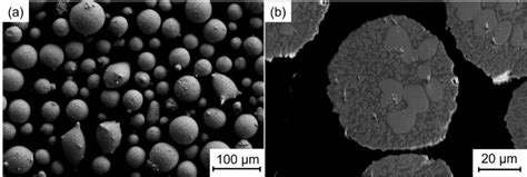 Sem Micrographs Secondary Electron Se Of The Powder Particles A
