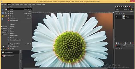 GIMP Replace Color Learn How To Replace Color In GIMP