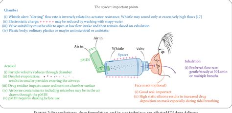 Figure 2 From A Rationale For Going Back To The Future Use Of