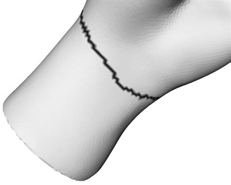 Geometrical Measuring Function G Along Reeb Graph Edges First Line Download Scientific