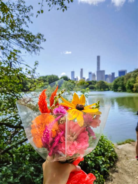 Things To Do In Central Park Nyc The Ultimate Guide • Svadore