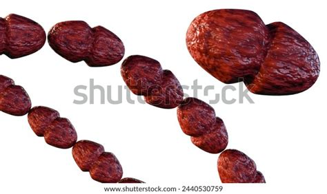 3d Rendering Vancomycin Resistant Enterococcus Vre Enterococcus Stock Illustration 2440530759