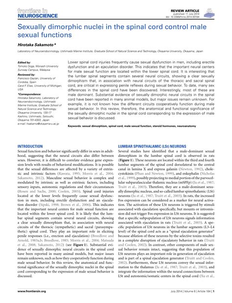 Pdf Sexually Dimorphic Nuclei In The Spinal Cord Control Male Sexual
