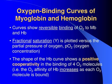PPT Structures Of Myoglobin And Hemoglobin PowerPoint Presentation Free Download ID 5876575